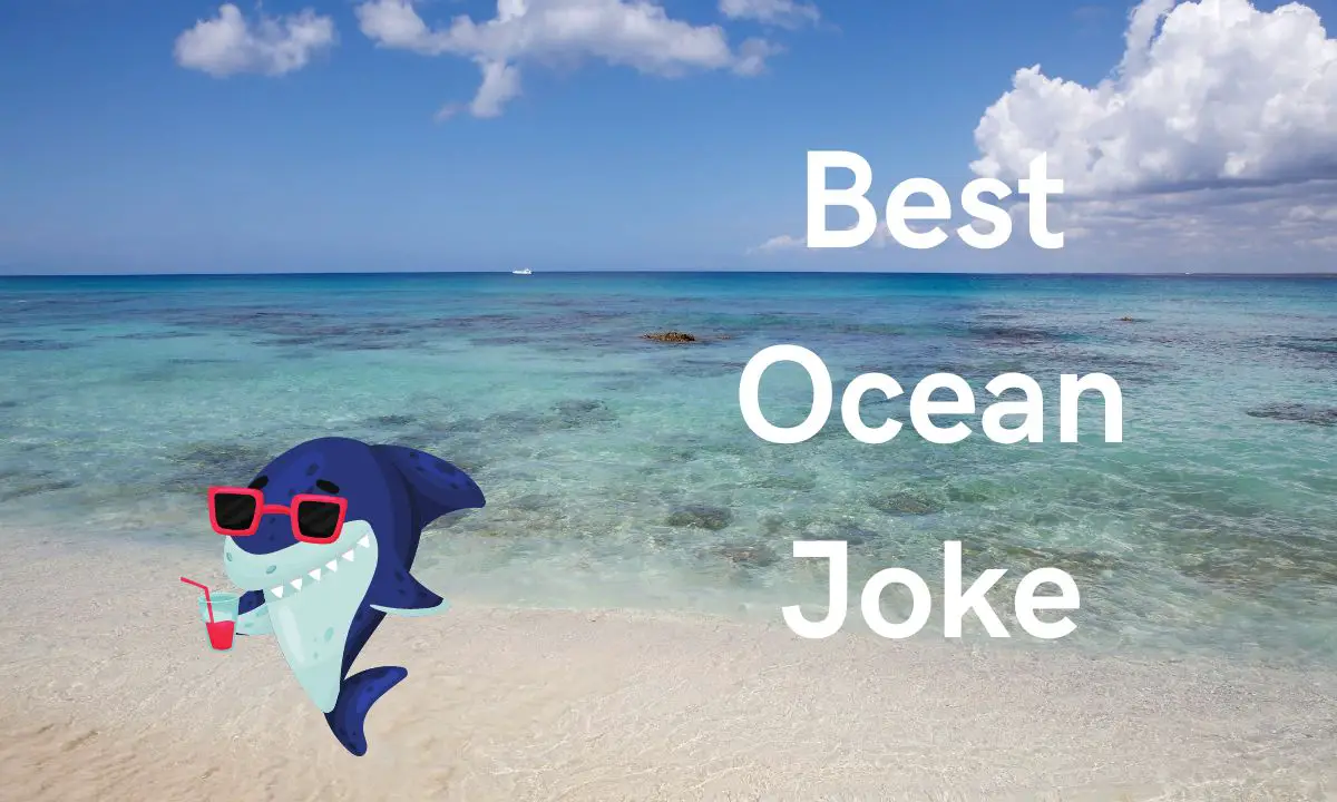 Funny Ocean Jokes and the Best Ocean Puns! 2025